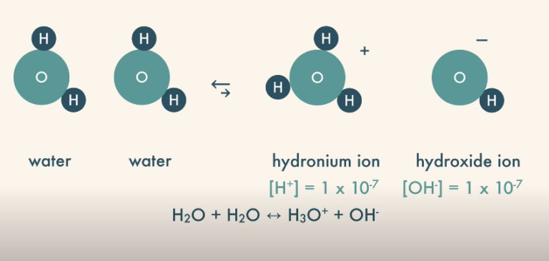 Is hydronium a base or acid? - A Journey into the Chemistry - Asell